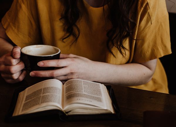 Toward a Feminist Poetics by Elaine Showalter: Explained